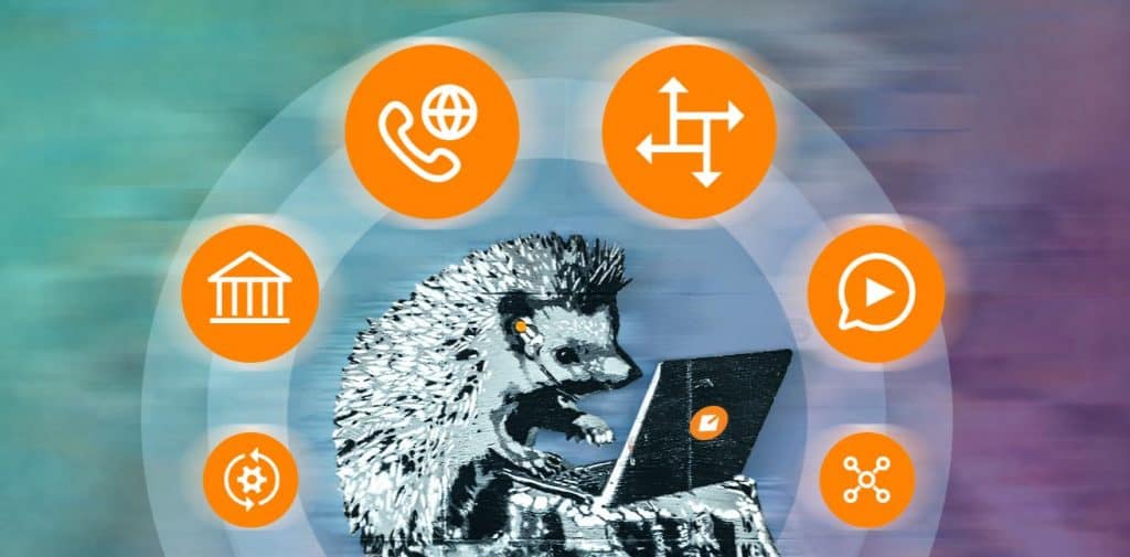 A Softswitch Story: The Real Facts Behind the Hype